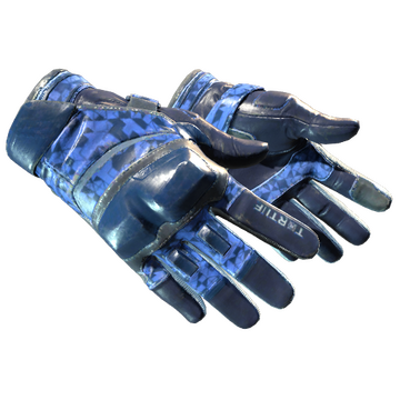 Steam Community Market :: Listings for ★ Moto Gloves | Polygon (Field ...