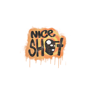 Steam Community Market :: Listings for Sealed Graffiti | Nice Shot