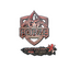 Steam Community Market :: Listings for Sticker | forZe eSports (Holo ...