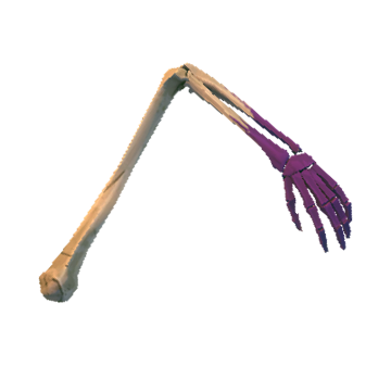 Steam Community Market :: Listings for Skeleton Sickle Purple