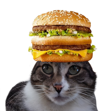 Steam Community Market :: Listings for Burger Cat