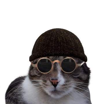 Steam Community Market :: Listings for Robber Cat