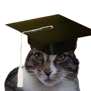 Steam Community Market :: Listings for Graduate Cat