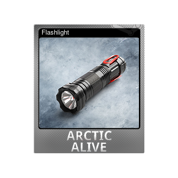 Steam Community Market :: Listings for 436860-Flashlight (Foil)