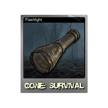 Steam Community Market :: Listings for 1270010-Flashlight (Foil)