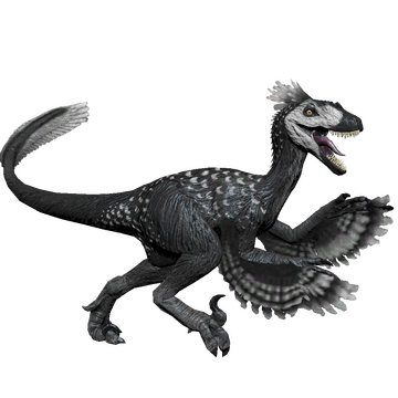 Steam Community Market :: Listings for Rare Whitefaced Novaraptor