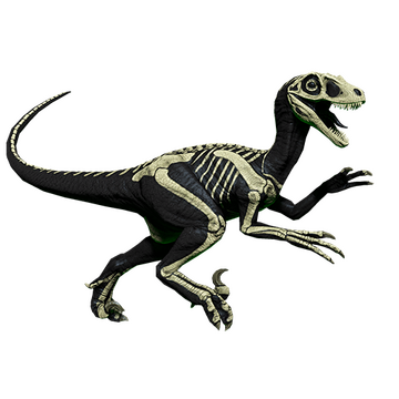 Steam Community Market :: Listings for Uncommon Skeleton Novaraptor