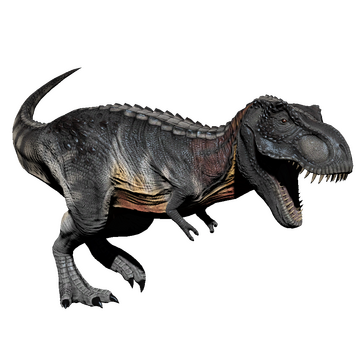 Steam Community Market :: Listings for Rare Ashland Rex