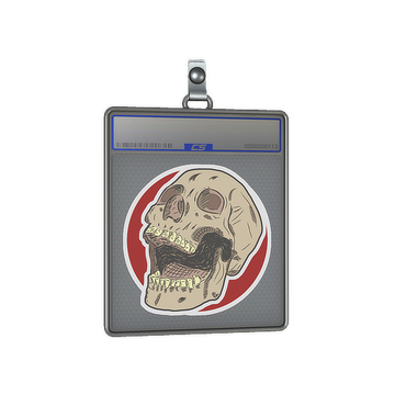ตลาดชุมชน Steam :: รายการสำหรับ Sticker Slab | Rising Skull