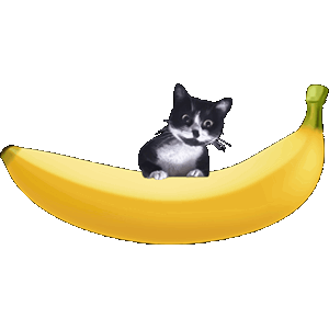 Steam Community Market :: Listings for catnana